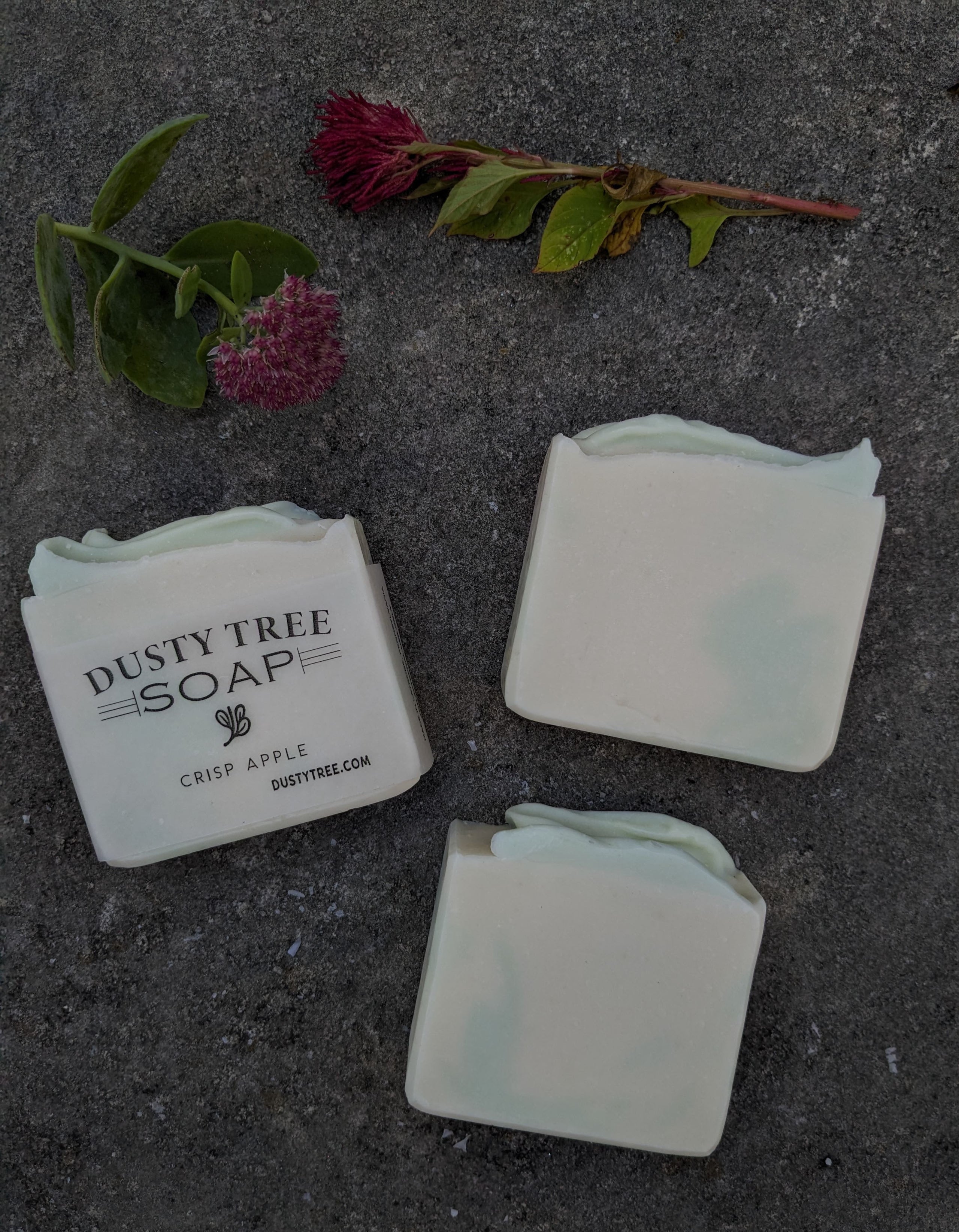 Crisp Apple | Dusty Tree Soap